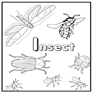 Intro to Pests Grade K-2 PestWorld for Kids Lesson Plan