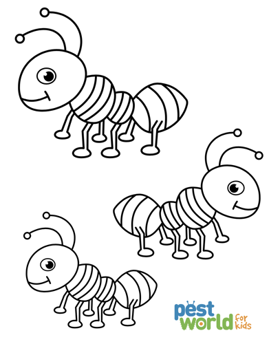 Coloring Page Activity - PestWorld for Kids