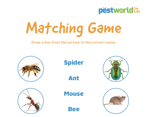 Pest Tests - Bugs & Insect Quizzes, Games, Flash Cards Pest Tests - Bugs & Insect Quizzes, Games, Flash Cards