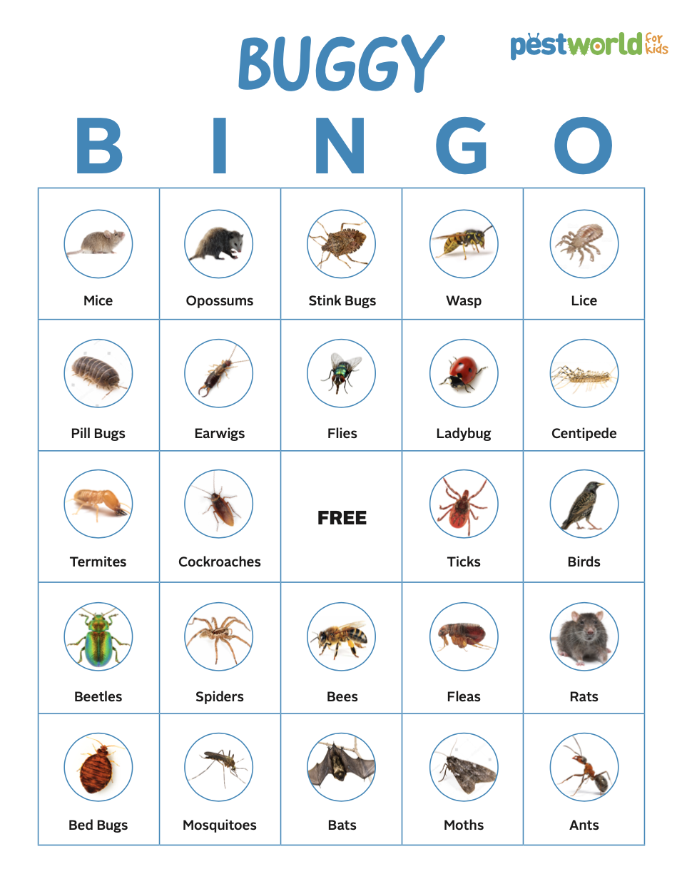 Downloadable Activities - PestWorld for Kids