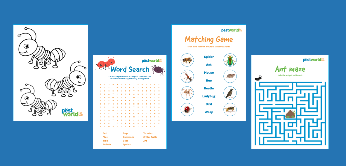 Downloadable Activities - PestWorld for Kids