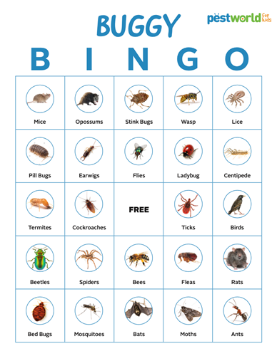 Bug Facts & Insect Information - PestWorld for Kids