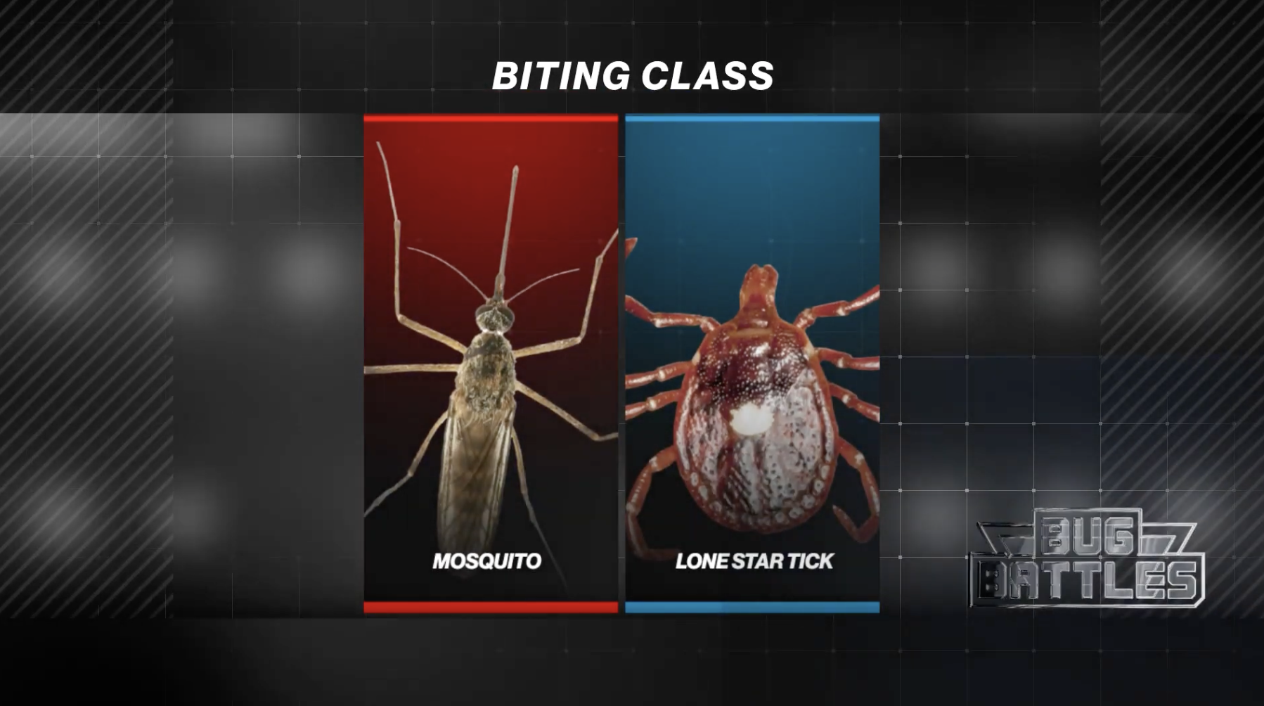 Bug Battles Episodes - PestWorld for Kids