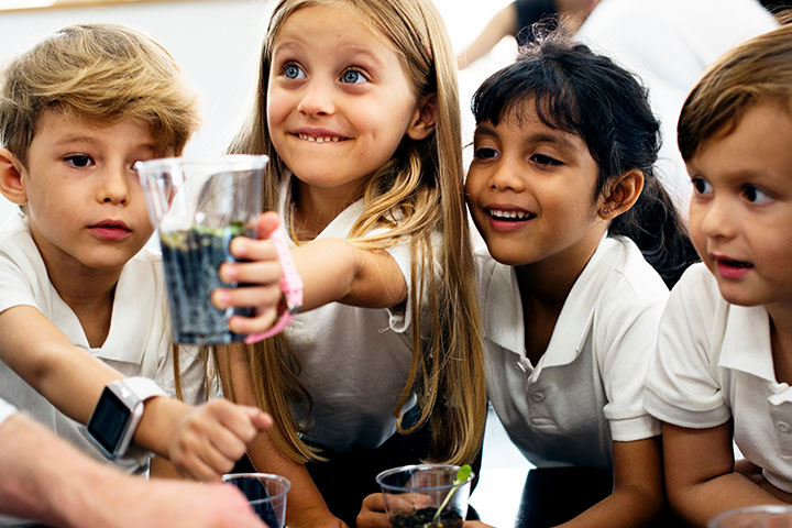 Insect Science Fair Projects: Ideas for Experiments on Bugs and Insects