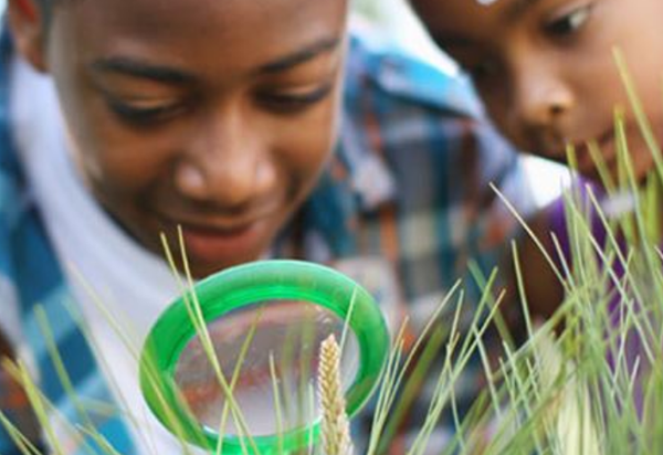 Pest Stories & Articles for Kids by Individual Bug Type